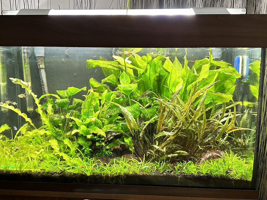 Аквариум с тумбой juwel 125 литров