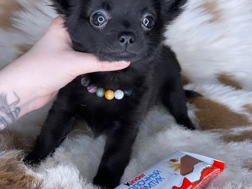 Кукольный мини мальчишка