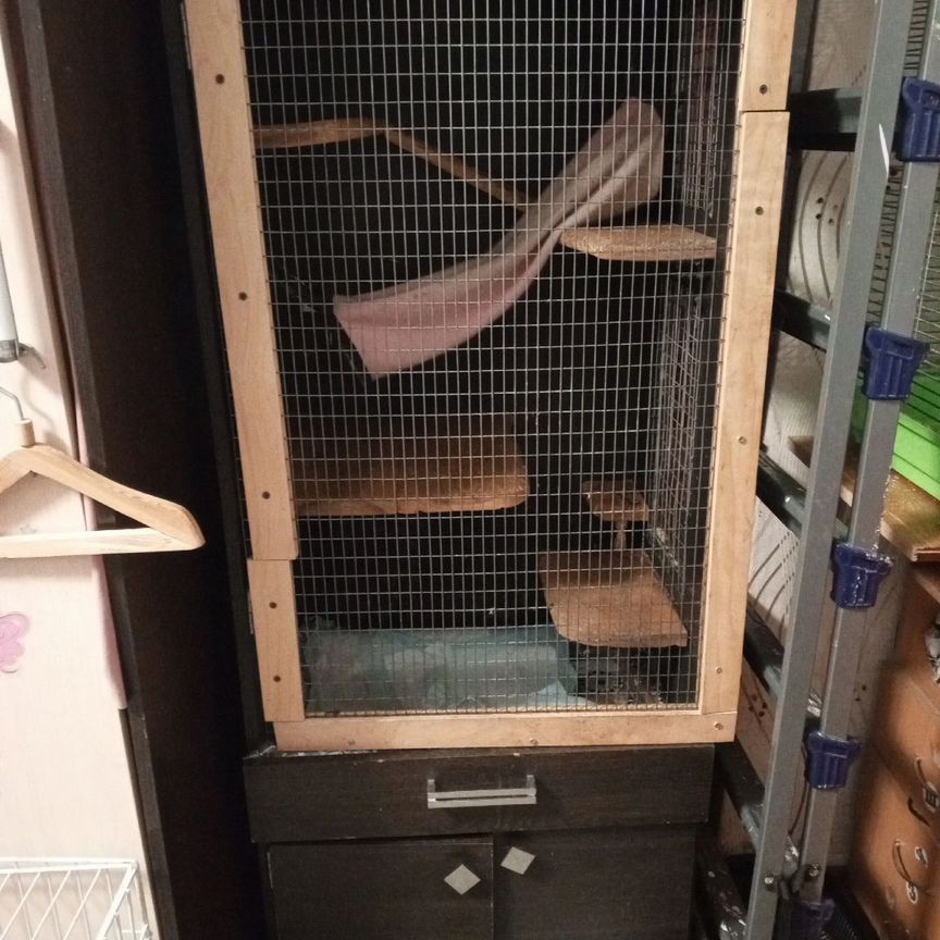 Клетка для шиншиллы бесплатно