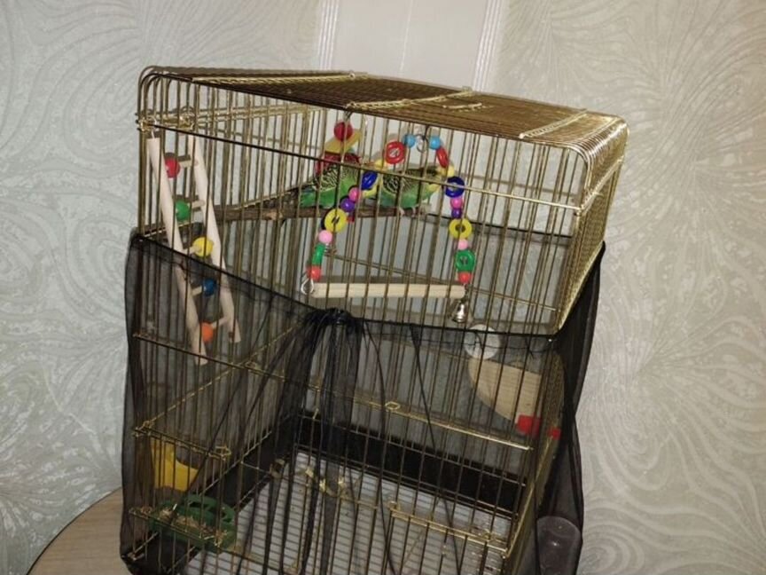 Клетка для попугая