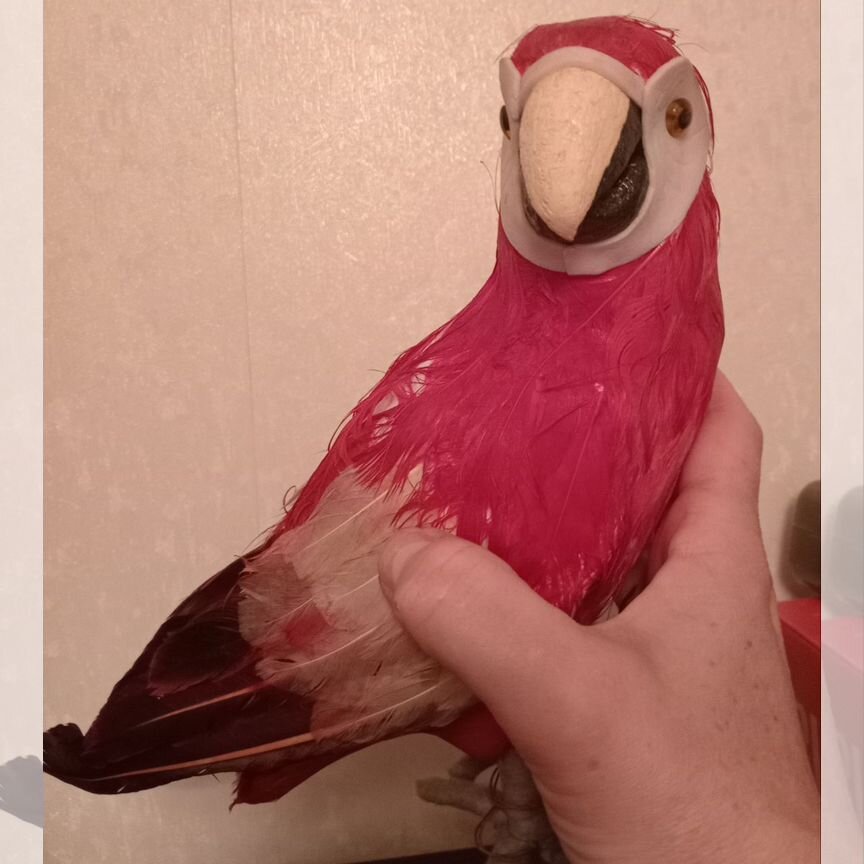 Попугай муляж