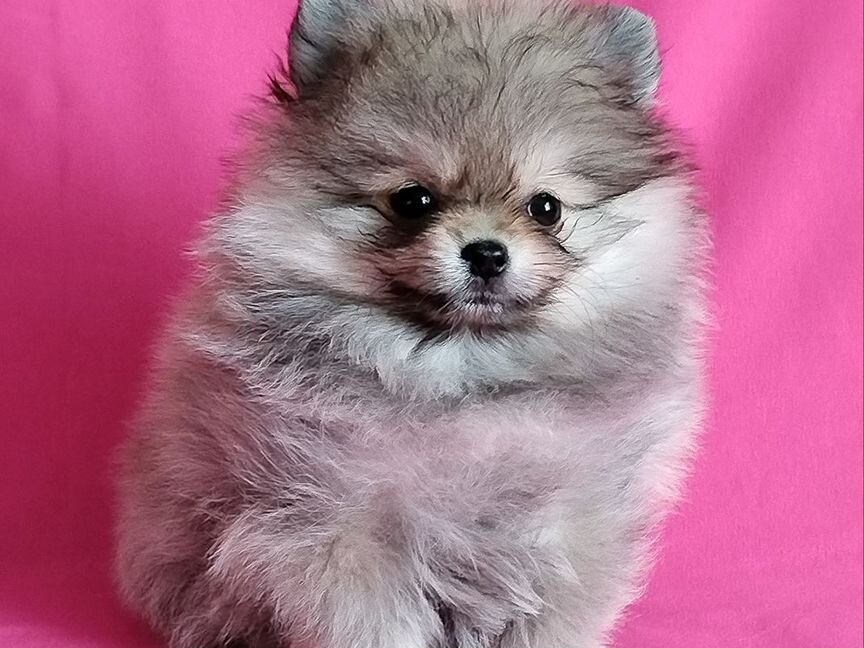 Мини мини девочка