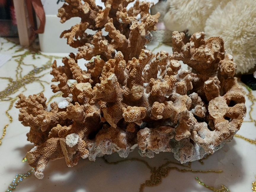 Аквариумное украшение и растения