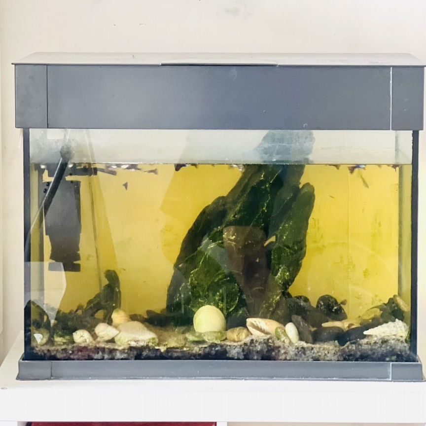 Аквариум с рыбками бу