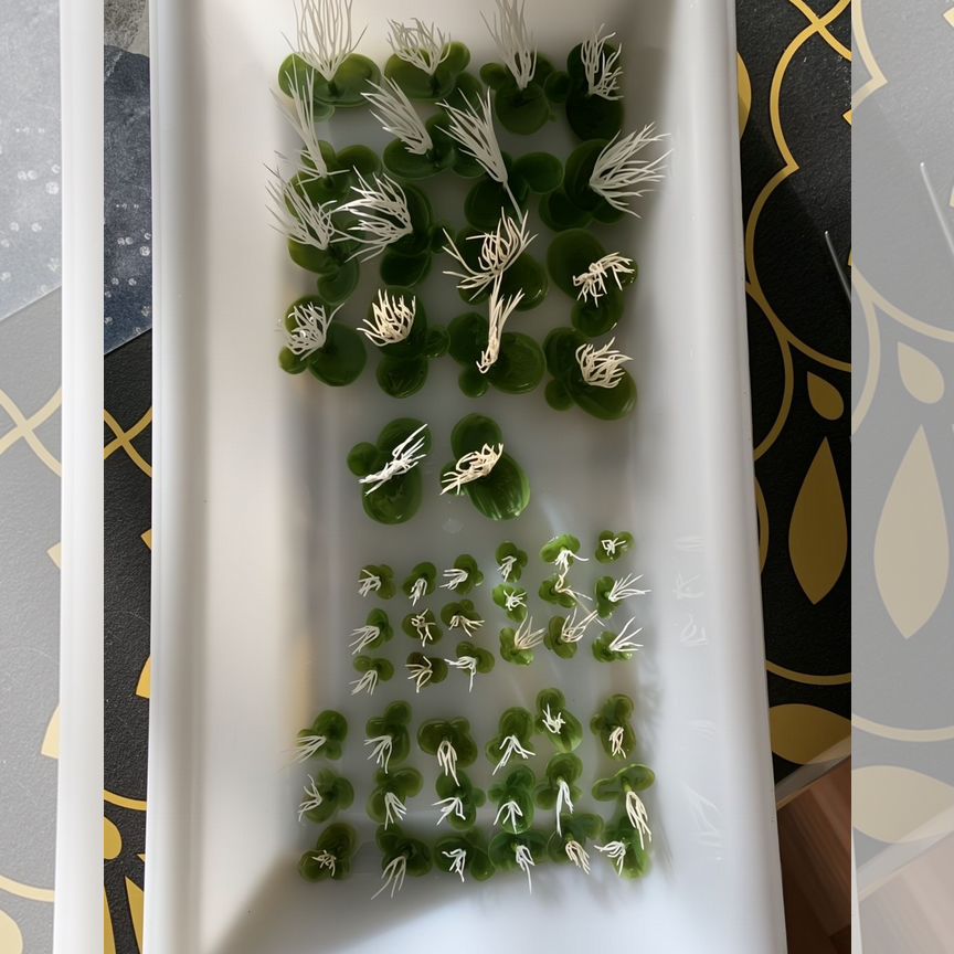 Искусственное плавающее аквариумное растение