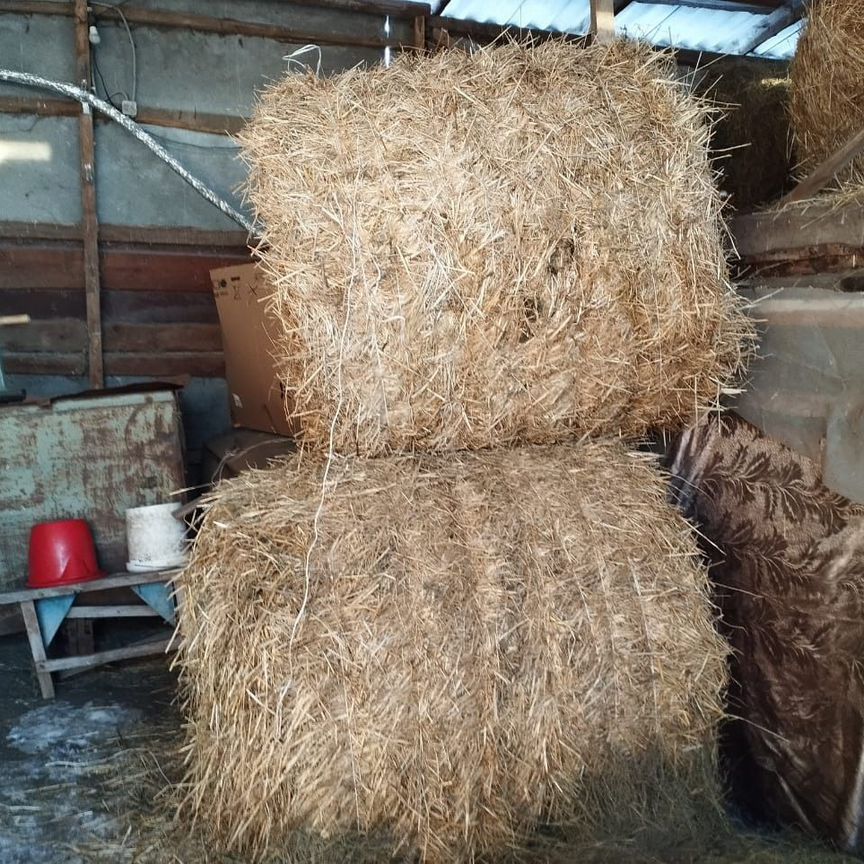 Солома в тюках