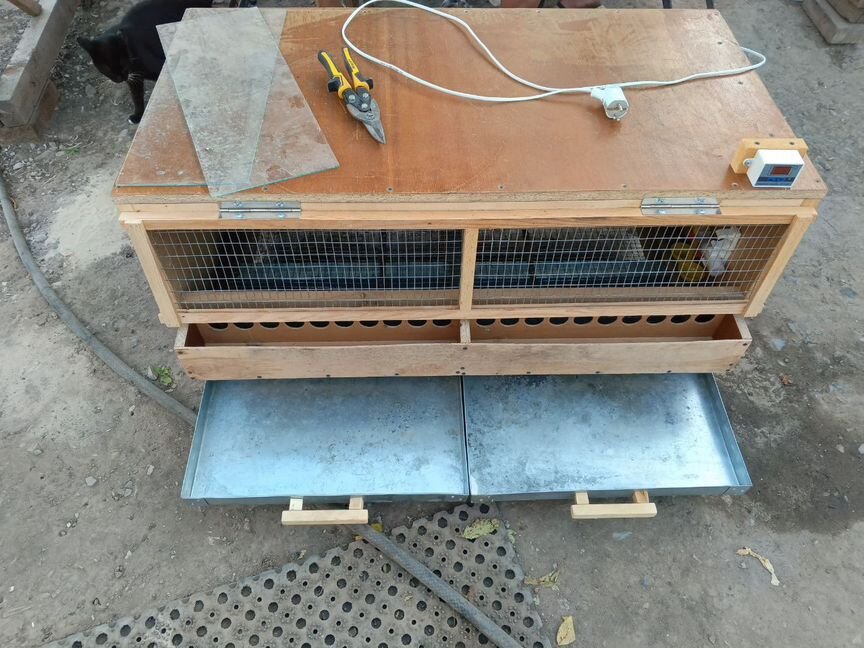 Брудер для цыплят