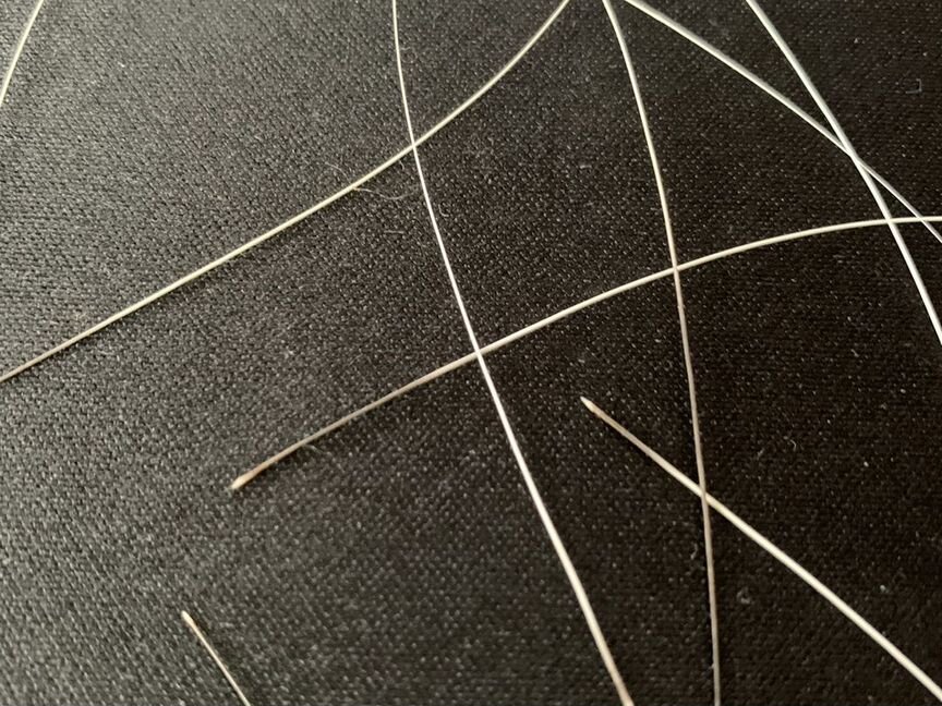 Кошачьи усы