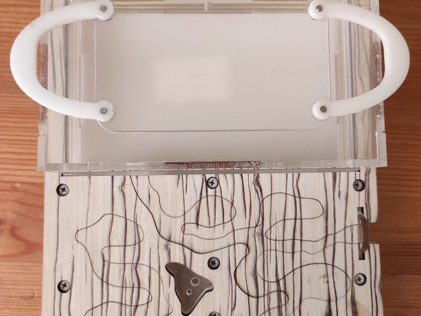 Муравьиная ферма antplanet без муравьев