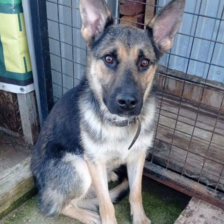 Ищем надёжные ручки