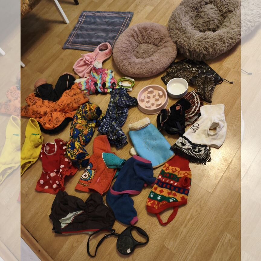 Для маленькой собаки