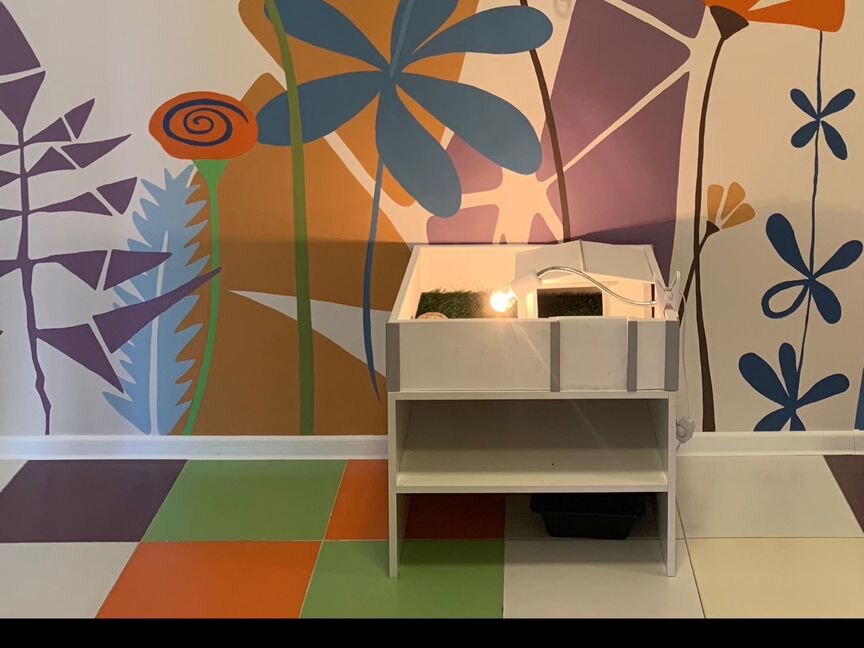 Домик для черепахи