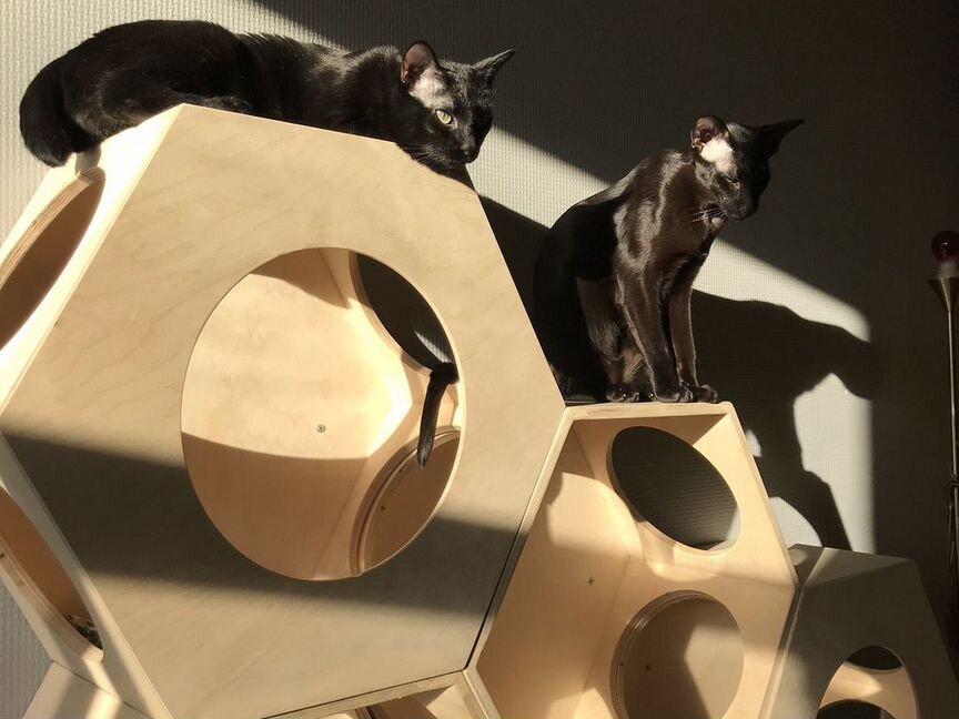 Кошачий домик