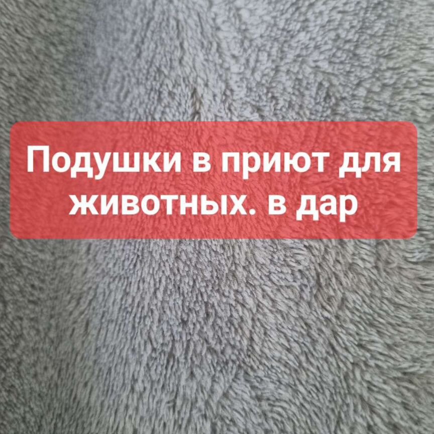 Подушки в приют для животных, в дар