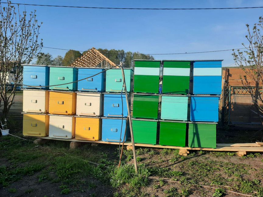 Улей для пчел