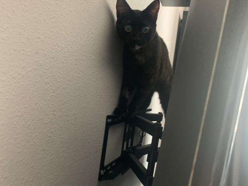 Забрали у алкашей,а дом так и не найти