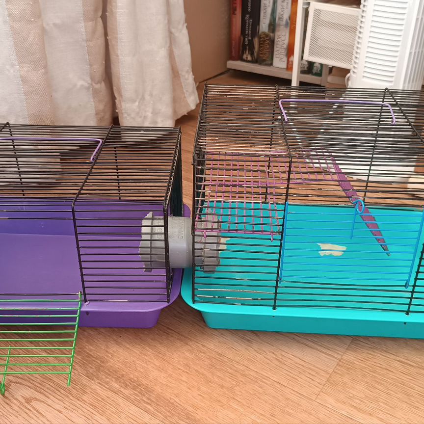 Клетки для грызунов