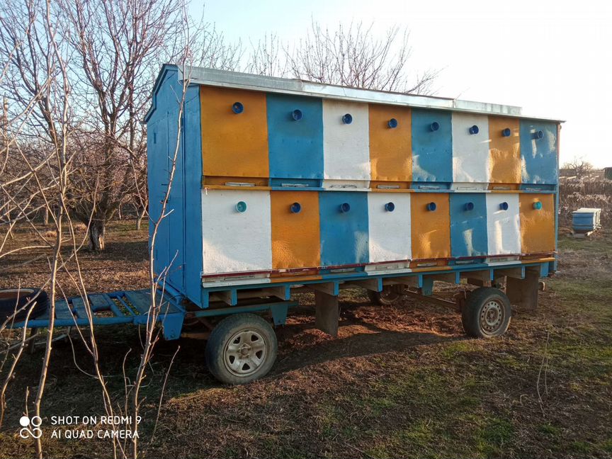 Пчелопавельон