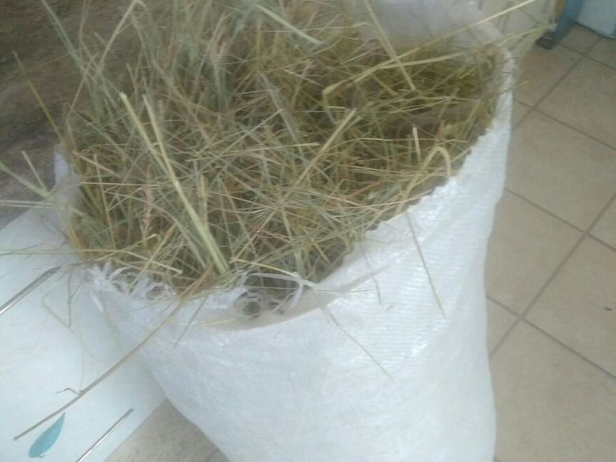 Сено в мешках, возможна доставка