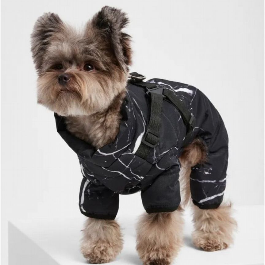 Одежда для собак