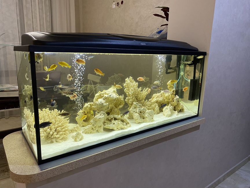 Кентйский песчаник, камень для аквариума