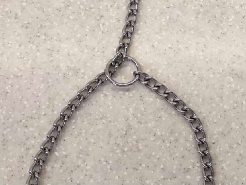 Ринговка, ошейник