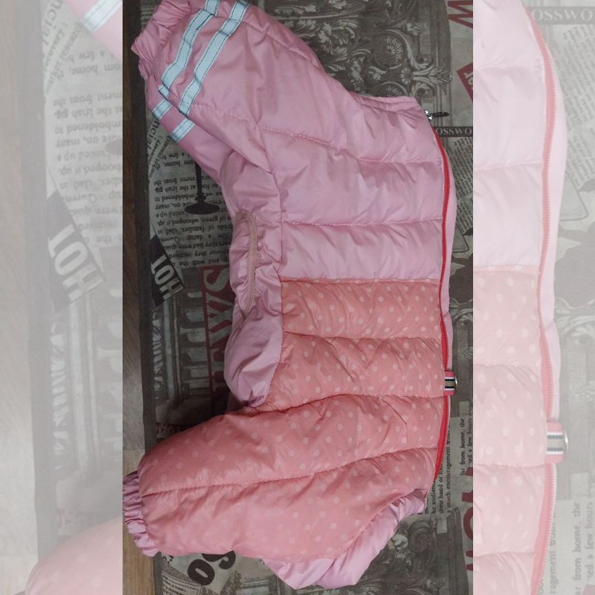 Одежда для собак средних