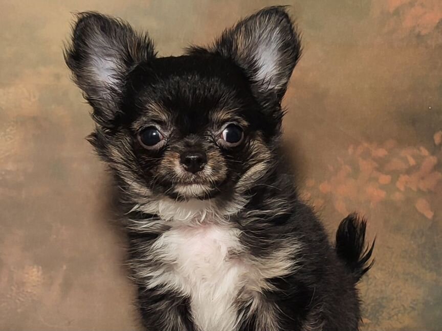 Супер парень