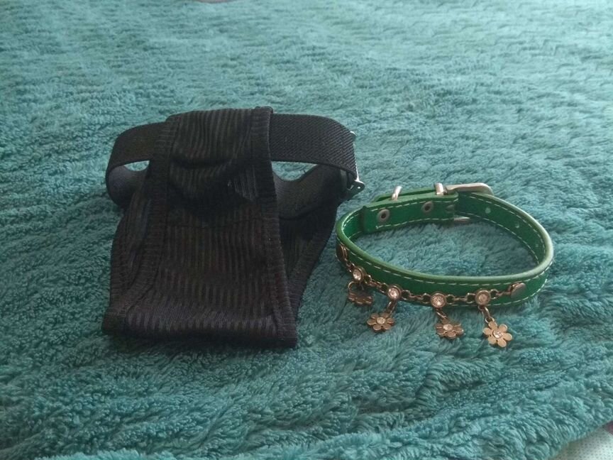 Аксессуары для собак маленьких пород