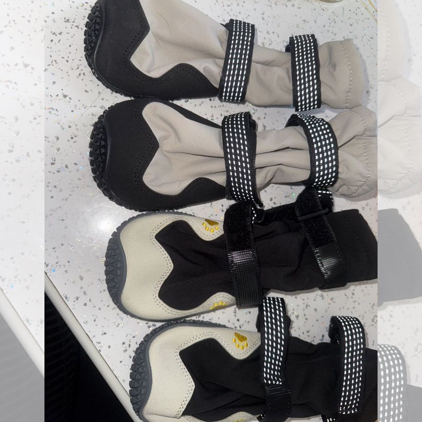 Зимняя обувь для собак