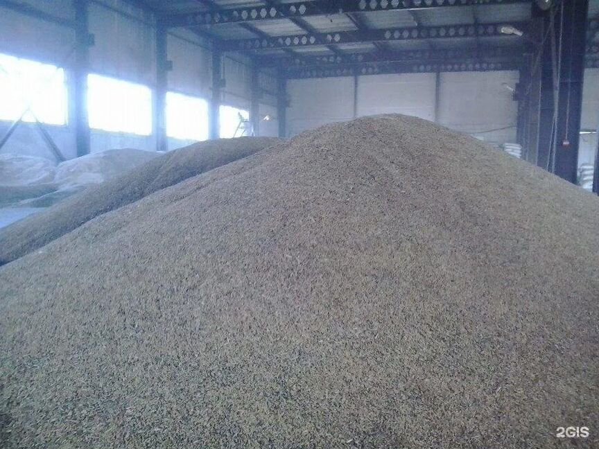 Продам пшеницу