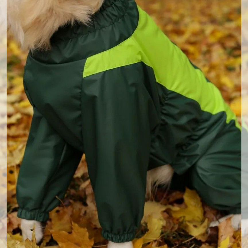 Одежда для собак средних пород