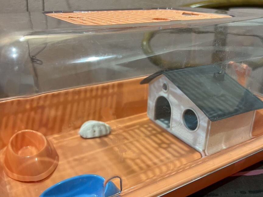 Клетка домик для грызунов