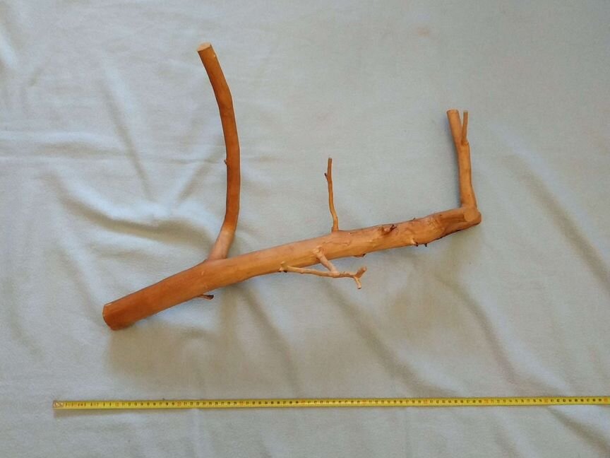 Коряги для террариума (ветки яблони)