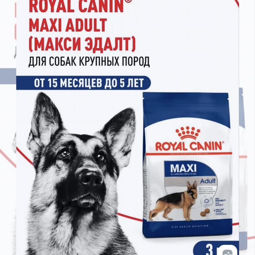 Royal Canin Maxi Adult для крупных пород, 3 кг