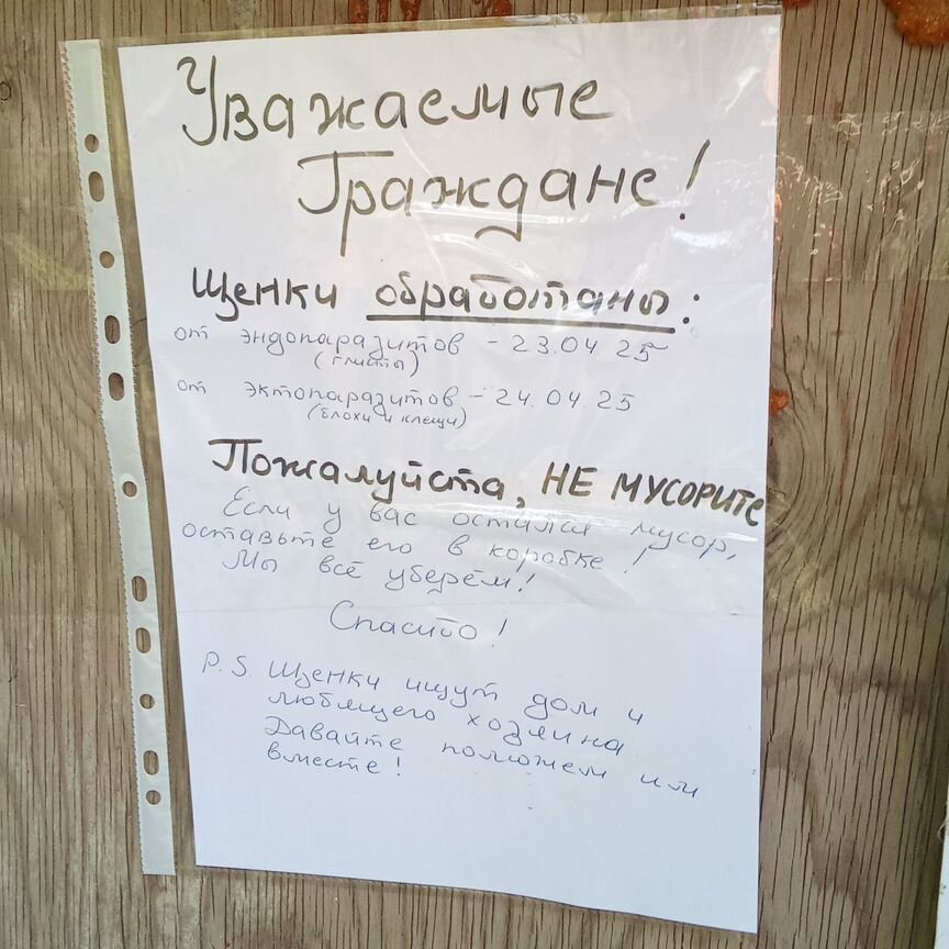 Маленькие собачки щенята в добрые руки