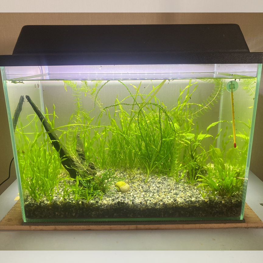 Аквариум 60 литров