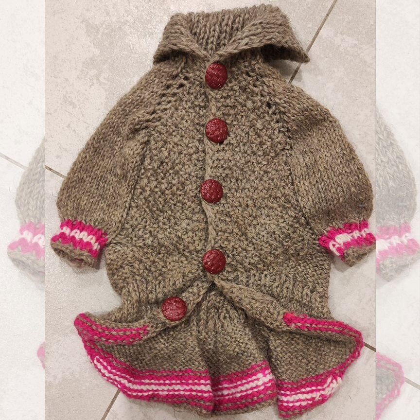 Одежда для животных