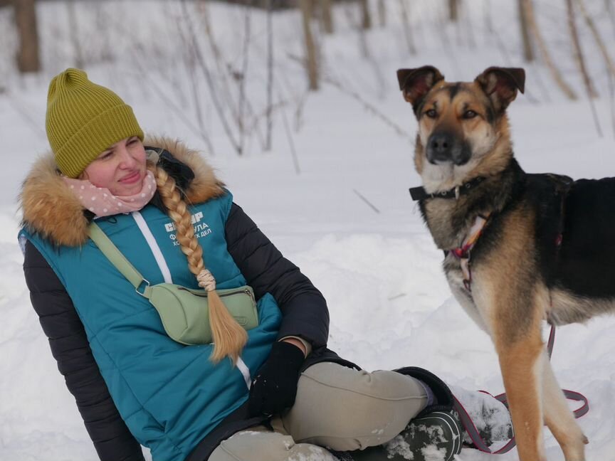 Собака в добрые руки