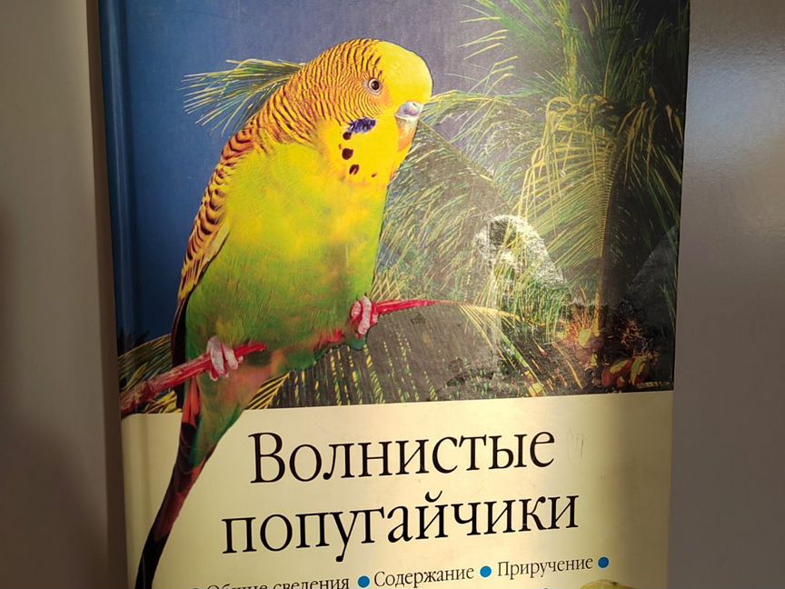 Волнистые попугайчики