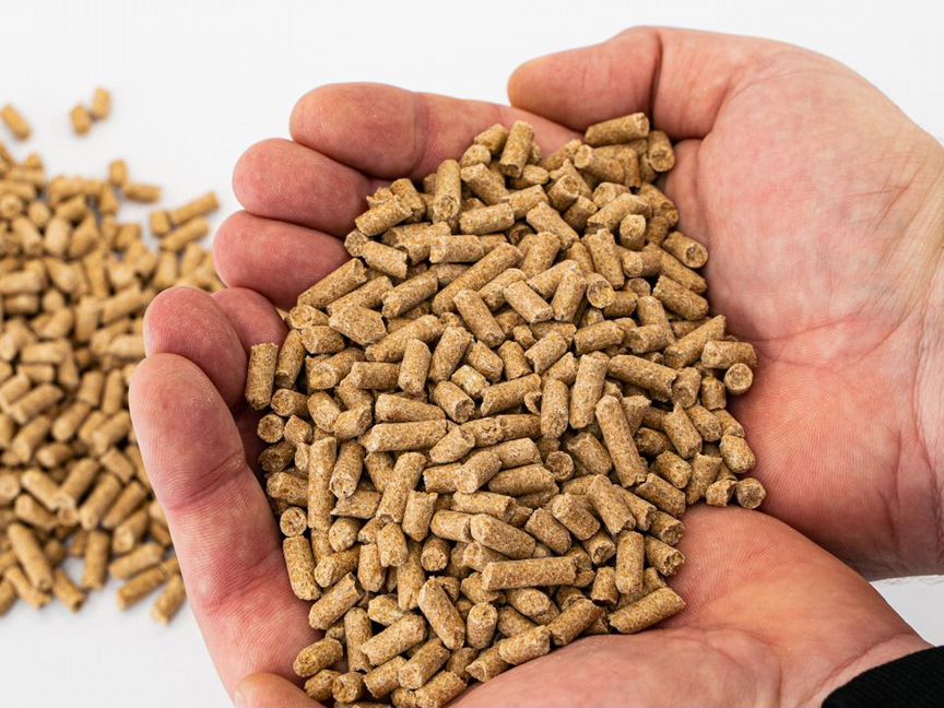 Корм для крс, птиц и других животных