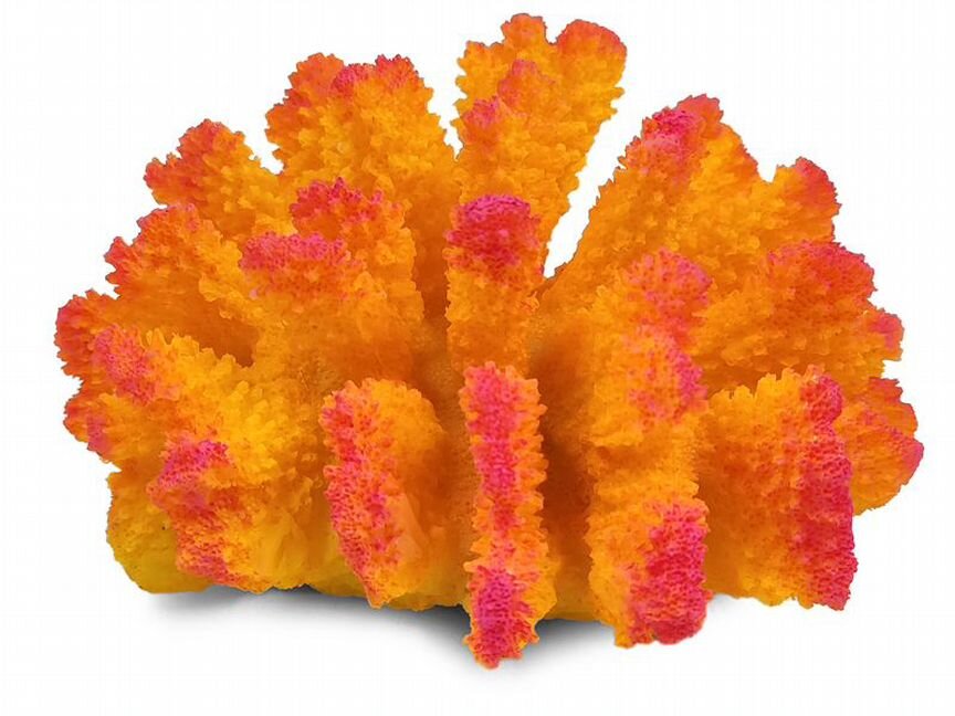 Коралл искусственный Поциллопора, желтый, 120*110*