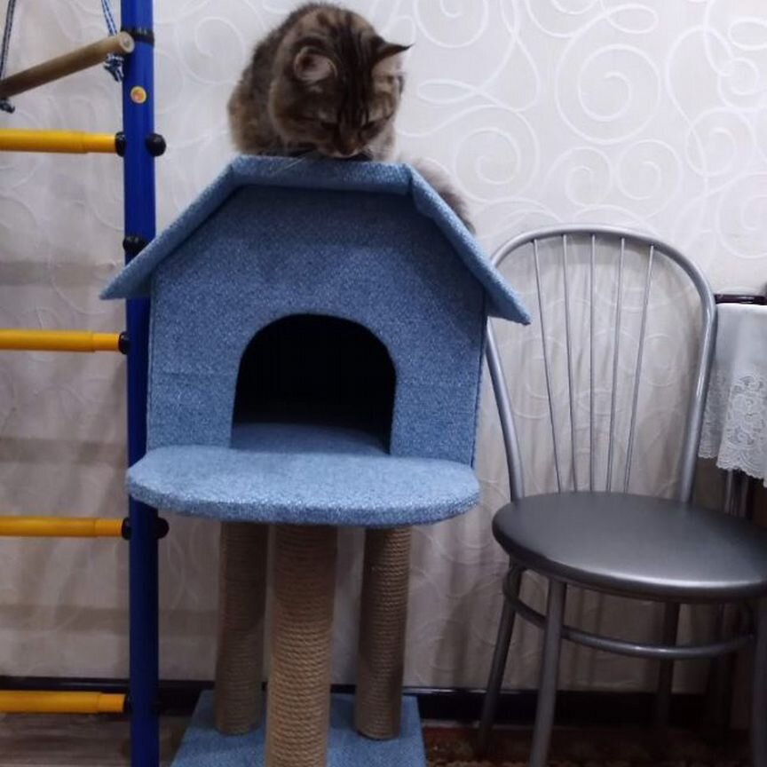 Домик с котом со всем его хозяйством