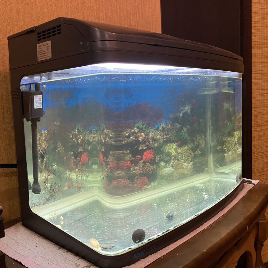 Аквариум