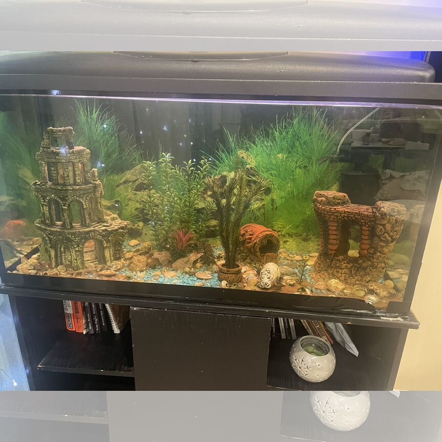 Аквариум 200 литров с тумбой