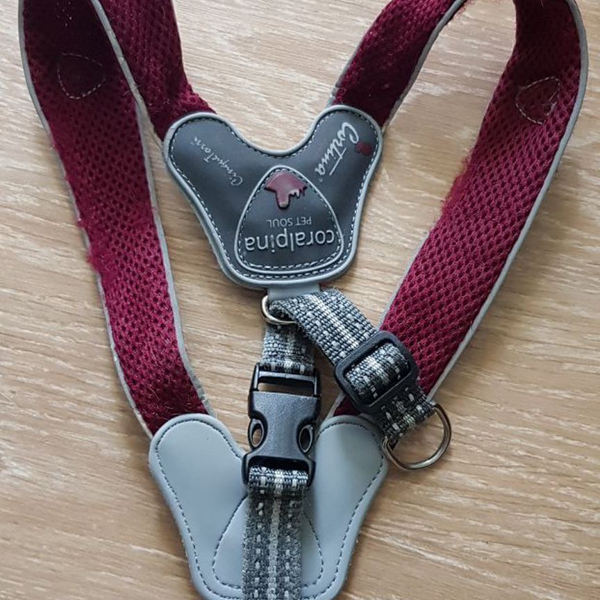 Шлейка для собаки Coralpina