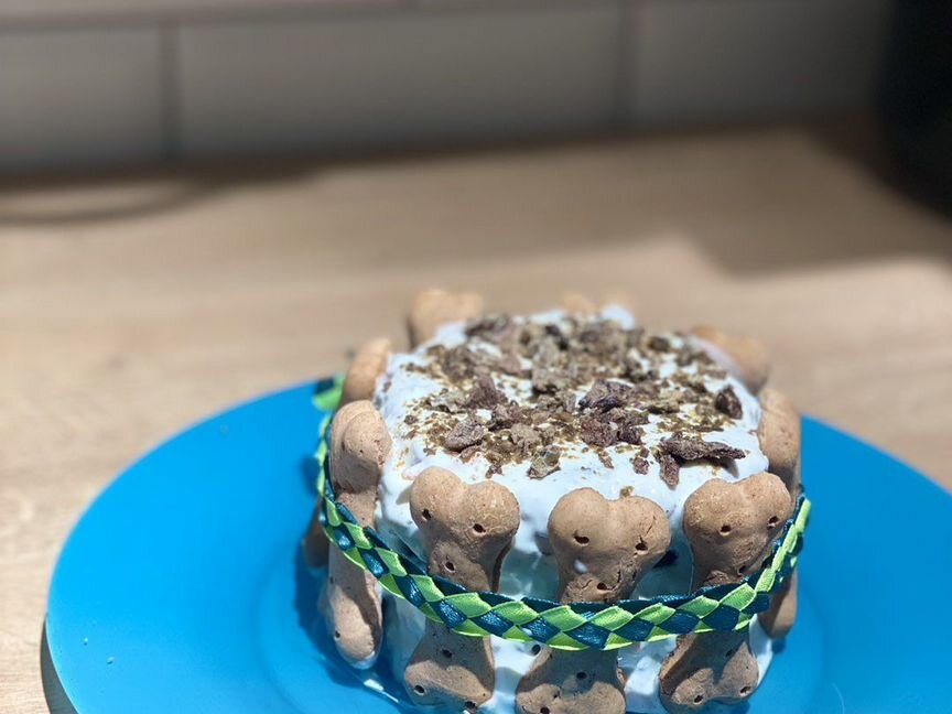 Торт для собак