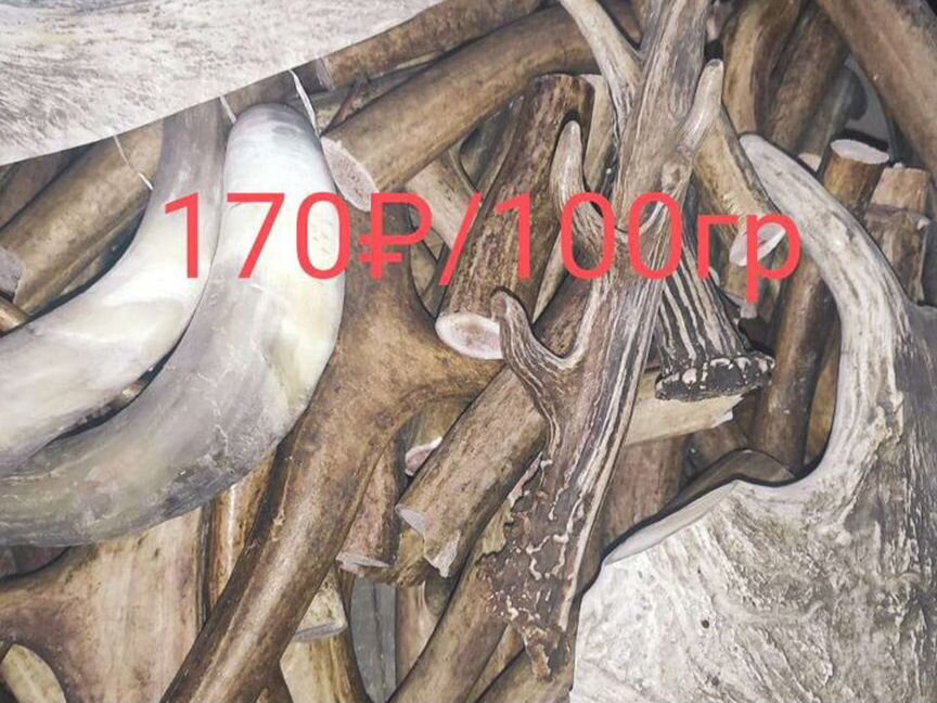 Лакомства для собак