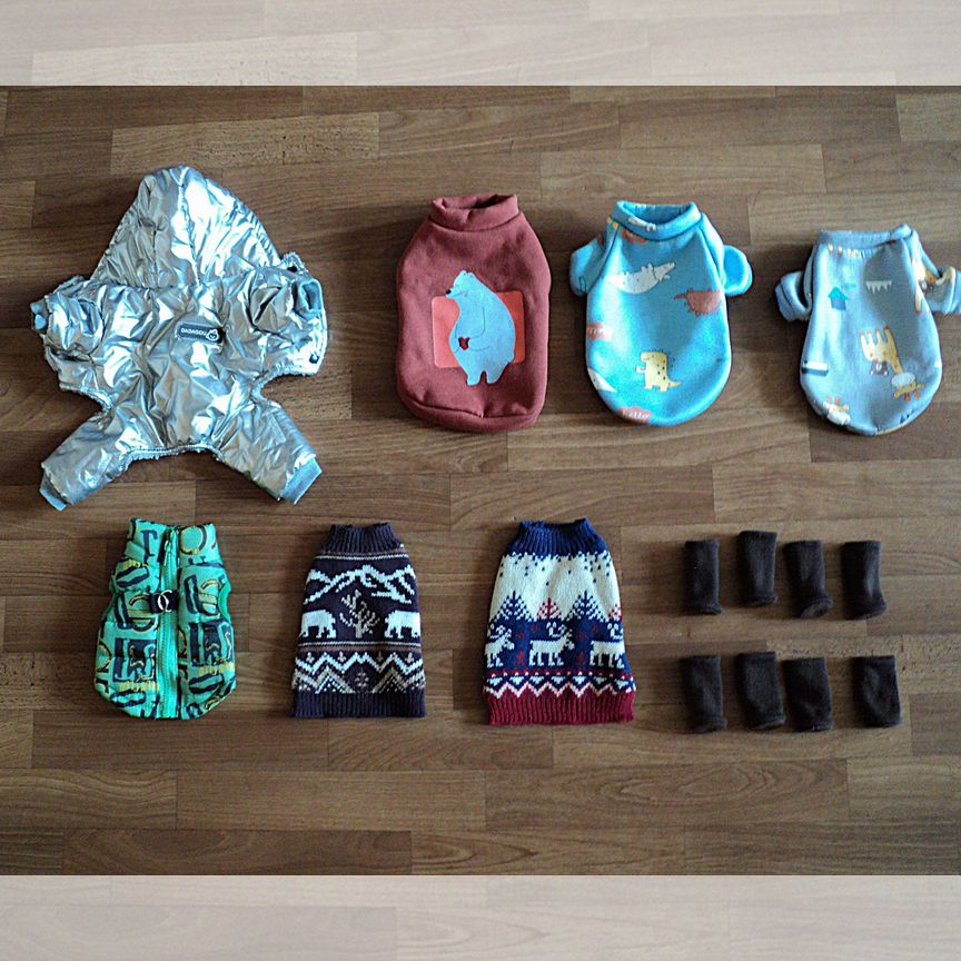 Одежда для маленькой собачки Размер S и XS