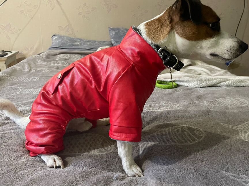 Куртка для собак